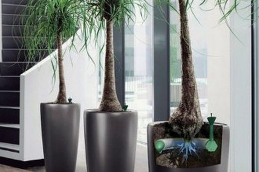 Beautiful and hydrated potted plants, thanks to the innovative ...