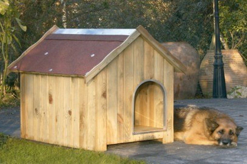 Maisons de chien — lajardineriecreative