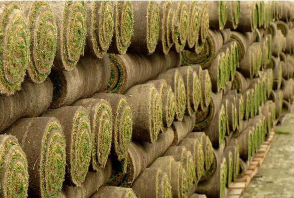 Tepe de césped natural en rollos — jardineriadelvalles