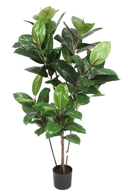 Ficus Robusta Verde 71433 Flores Plantas Artificiales Verde Artificial ...