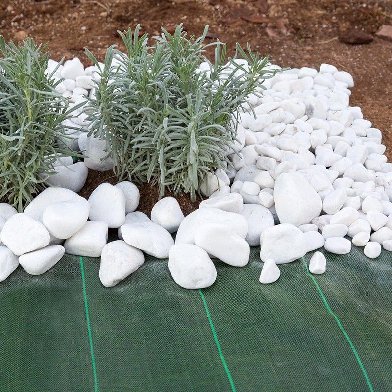 Malla Antihierbas Stop-Grass de Catral 1,25x25 mt — jardineriadelvalles