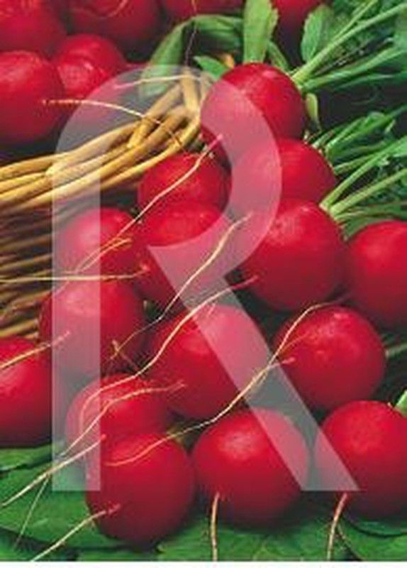 Radis rouge Round 10g — lajardineriecreative